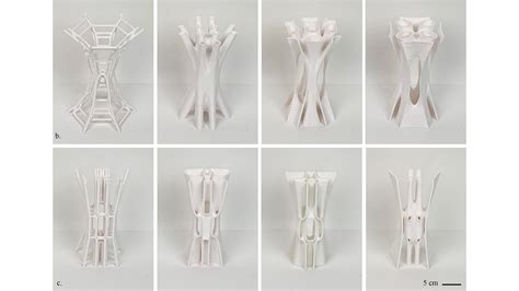 Translating Cellular To Shellular Funicular Structures Psl