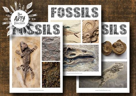 Fossils To Draw Or Paint Art Lesson The Arty Teacher