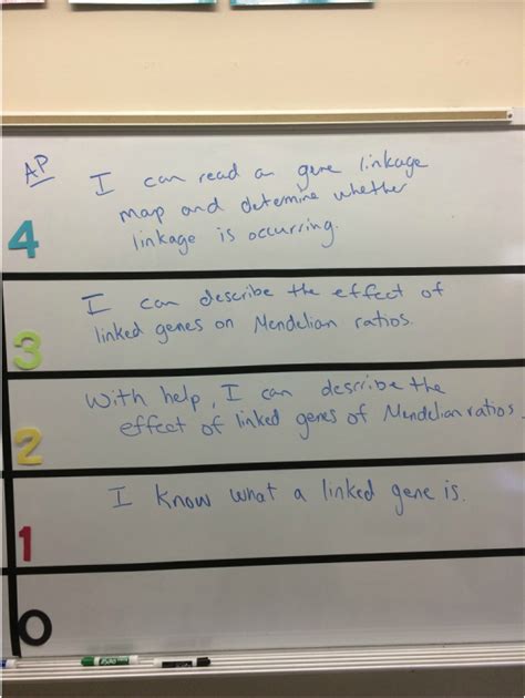 Sex Linked Traits Lincoln High School