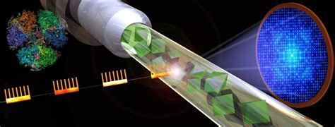X Ray Free Electron Laser