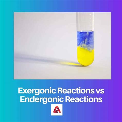 Ppt Endergonic And Exergonic Reactions Powerpoint