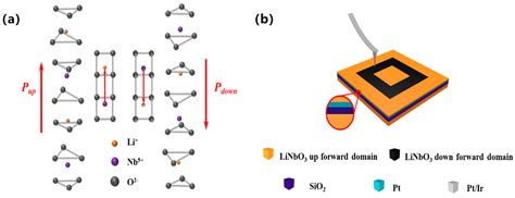 Ferroelectric Domain Intrinsic Radiation Resistance Of Lithium Niobate Ferroelectric Single−
