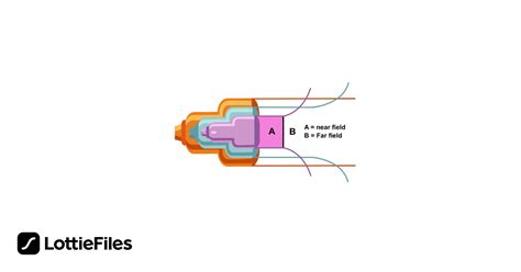 Free Transducer Array Ultrasound Single Animation By Joana Barreira