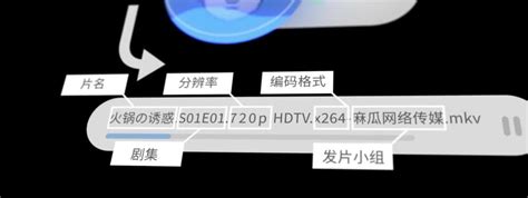 What Do You Know About The Industry Insiders Of Pirated Movies IMedia