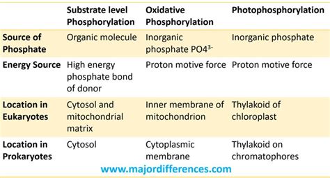 Difference Between Substrate Level Phosphorylation Oxidative