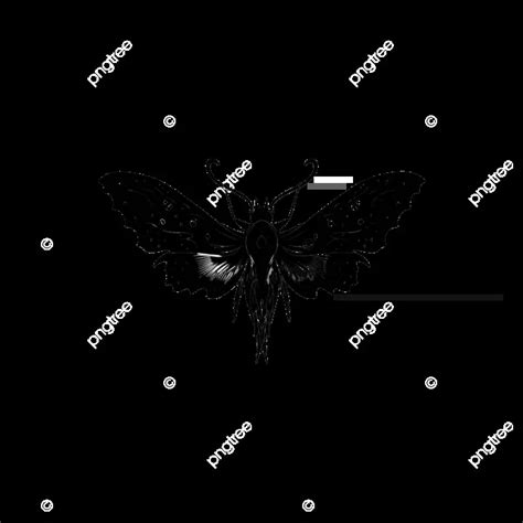 Moth Metamorphosis Vector Logo Black On White Bitterfly Clipart Bee
