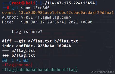 bugku ctf web——source解题 bugku source csdn博客
