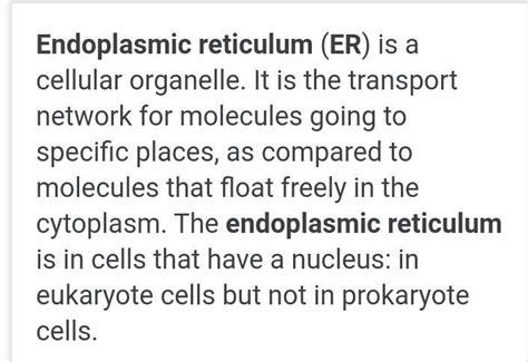 Drawing Of Endoplasmic Reticulum The Endoplasmic Reticulum Is A Network Of Sacs That