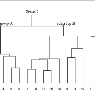 Dendrogram Resulted From Application Of Complete Linkage Method Of