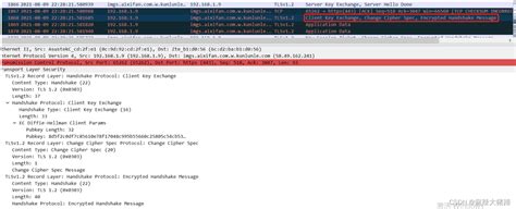 Ssl握手过程实例抓包分析ssl抓包分析 Csdn博客 Ssl握手过程实例抓包分析ssl抓包分析 Csdn博客