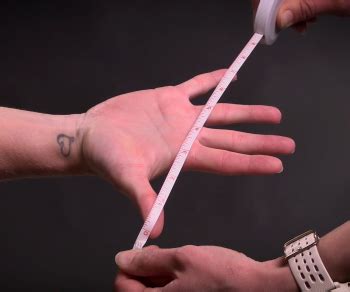 Arm Length And Hand Span Body Metrics Beyond Weight Lab Manual