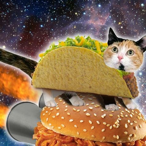Kitty Blob Youtube