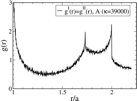 Pair Correlation Functions G I R And G Ii R Versus R A In A Samples
