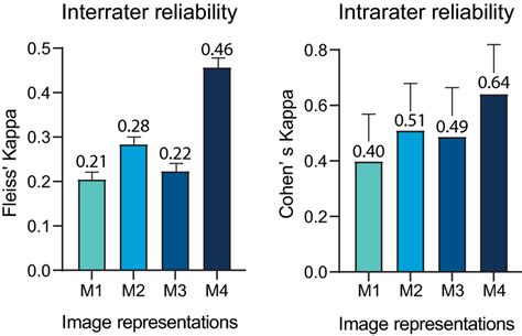 inter rater reliability fleiss kappa scores and intra rater