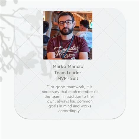 Programming Programmer Team Teamleader Goals Teamwork Mvp Soft