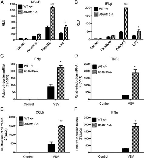 Adam15 Suppresses Tlr Mediated Reporter Gene Activity And Vsv Mediated