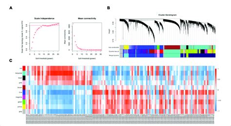 Construction Of The Co Expression Network A A Scale Free