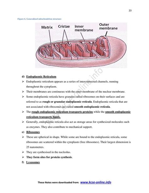 Biology Notes Form 1 Pdf