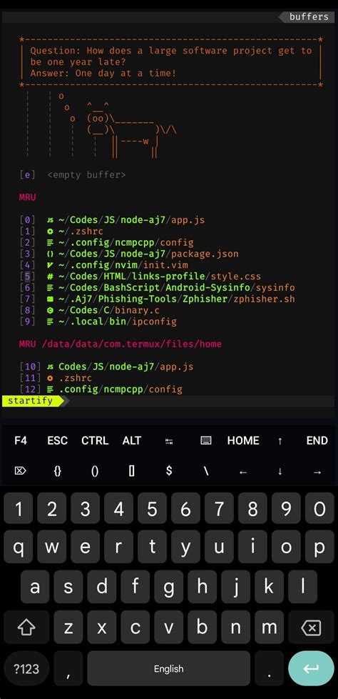 Neovim Config For Coding Rtermux