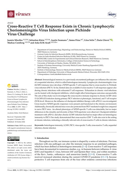 Pdf Cross Reactive T Cell Response Exists In Chronic Lymphocytic Choriomeningitis Virus