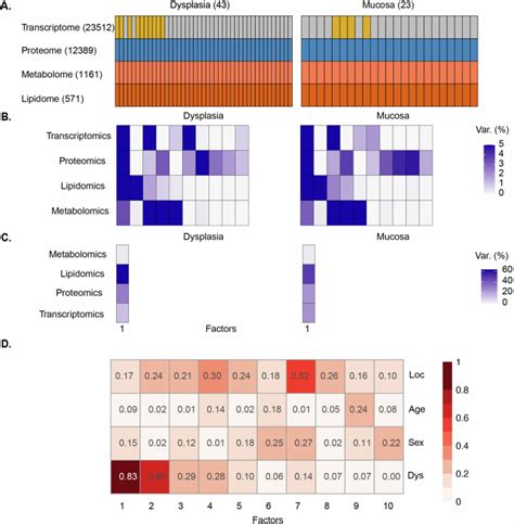Multiomic Analysis Of Familial Adenomatous Polyposis Reveals Molecular