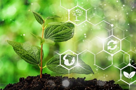 تفاوت محصولات ارگانیک و تراریخته و تاثیر مخرب محصولات تراریخته بر محيط