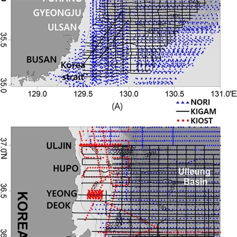 A Survey Tracks For Gravity Data And B Survey Tracks For Magnetic
