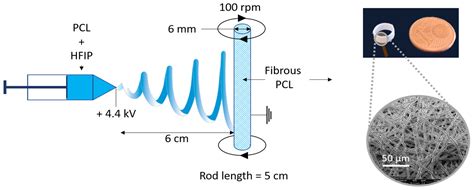 3d Electrospun Polycaprolactone Scaffolds To Assess Human Periodontal Ligament Cells