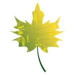 Leaf Border Vector Free SVG