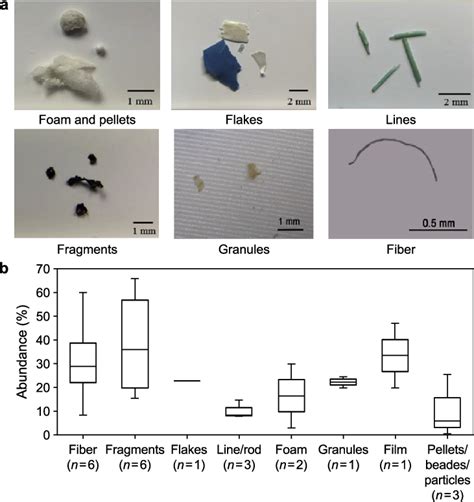 A Example Of Different Shapes Of Microplastic Detected In Landfill