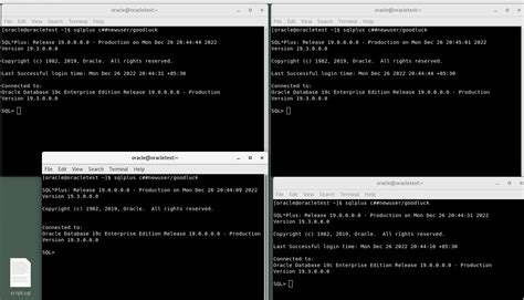 Creation Of Common Profile In Oracle Dot Net Tutorials