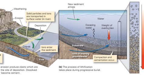 Lithification Definition