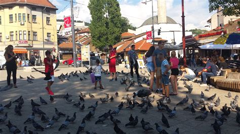 A Visit To Bosnia With Zeynab Gamieldien Wayfarers Compass