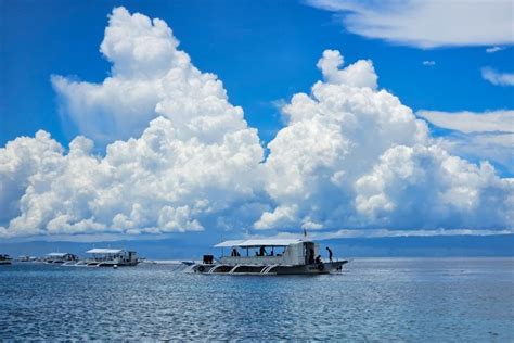 필리핀 보홀여행 직항 보홀항공권 예약 여행지 정리 네이버 블로그
