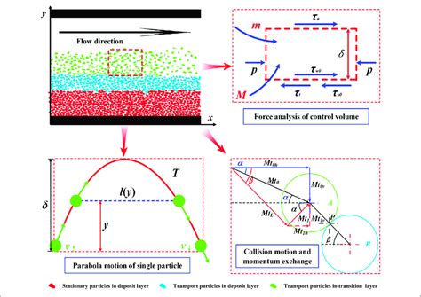 Momentum Distribution Of Transported Particles And Static Particles