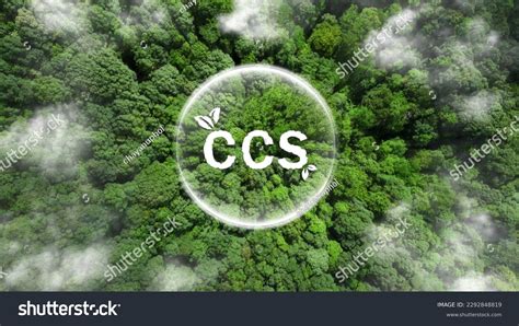 Ccs Process Royalty Free Images Stock Photos Pictures Shutterstock