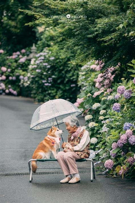 더쿠 손자가 찍은 할머니와 개