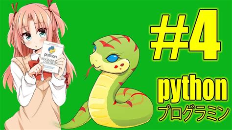 Условные операторы в Python Youtube