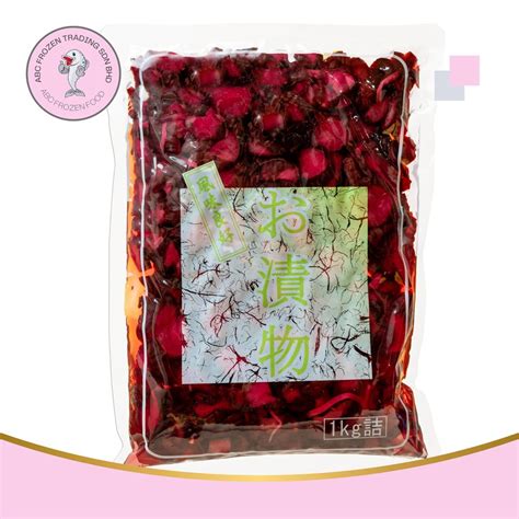 Shiba Zuke Abc Frozen