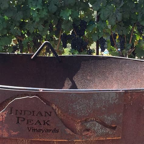 Indian Peak Vineyards All You Should Know Before Going 2026 With