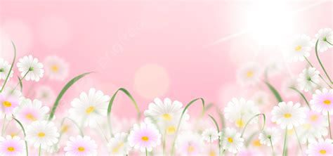 봄 핑크 크리 에이 티브 꽃 테두리 배경 꽃들 식물 보태니컬 배경 일러스트 및 사진 무료 다운로드 Pngtree