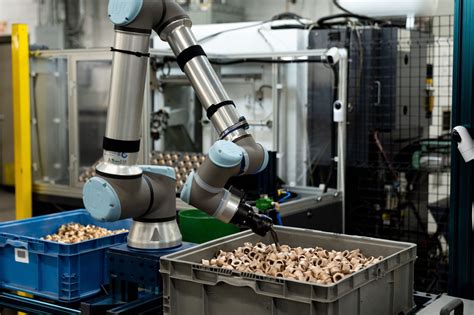 Universal Robot Cobots Flexible Automation Solutions Abel Womack