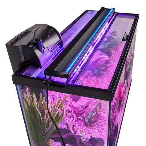 Things To Consider When Buying Aquarium Lights