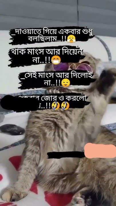 আমি কোথাও দাওয়াতে গেলে মাংস খাইইই না😑😑😑 Youtube