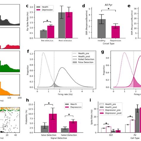 Model Human Cortical Neurons And Synaptic Connections Reproduce