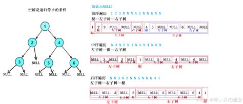 数据结构初阶 二叉树 二叉树的高度 csdn博客