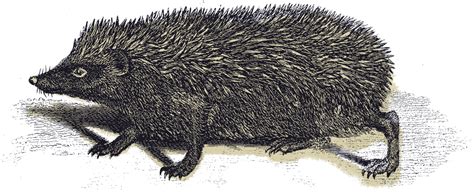 Trader Joe S Locations In Columbia South Carolina Grocery Store