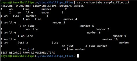 How To Replace Whitespaces With Tabs In A File