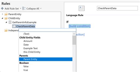 patterns and practices entity variables and parameters inrule