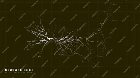 neuron system model neural net structure research of the human nerve